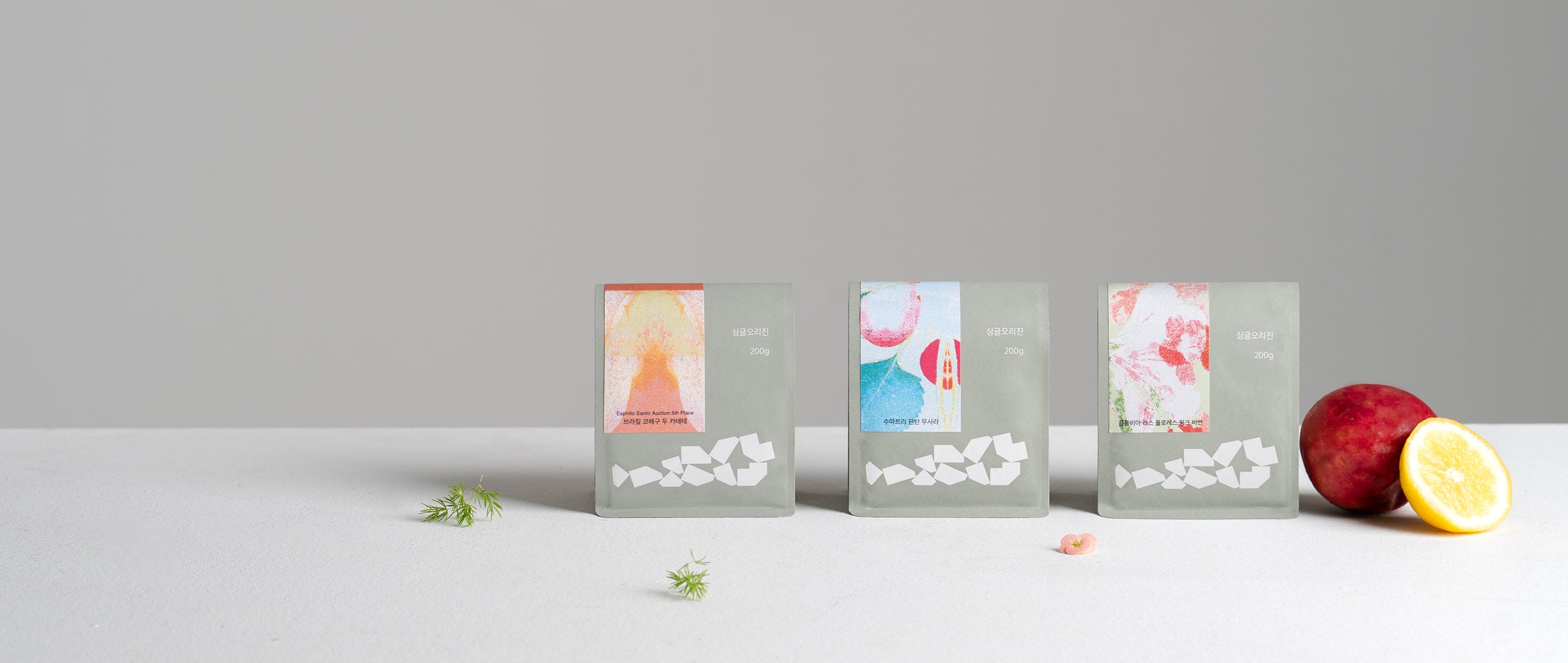 Specialty Coffee Company – Bean Brothers